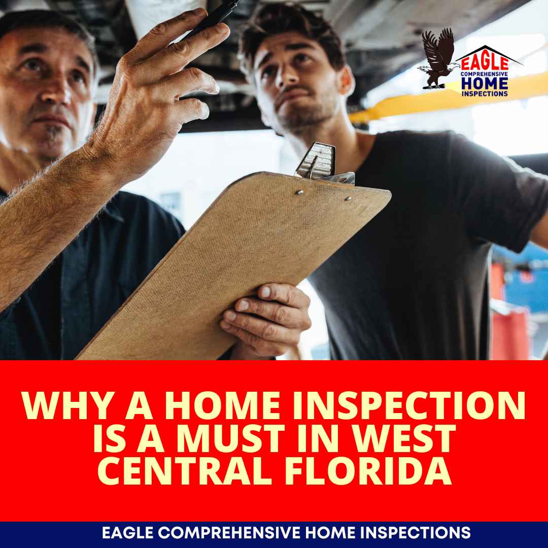 Why a Home Inspection is a Must in West Central Florida - Eagle ...